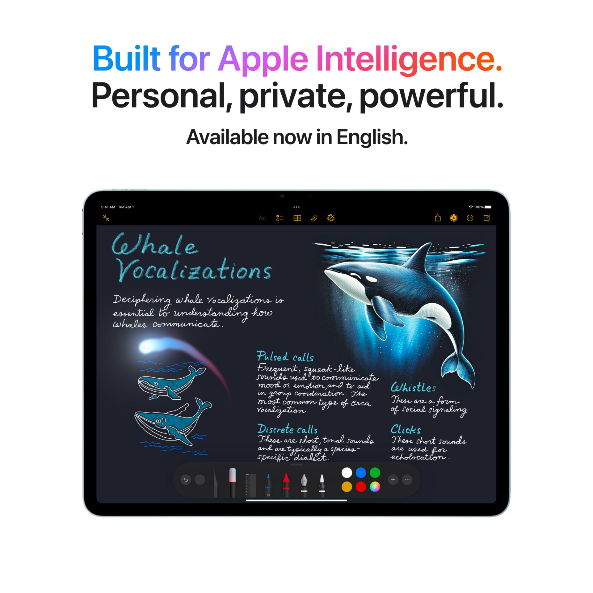DirectD Apple Store. iPad Air 13-inch (M3)